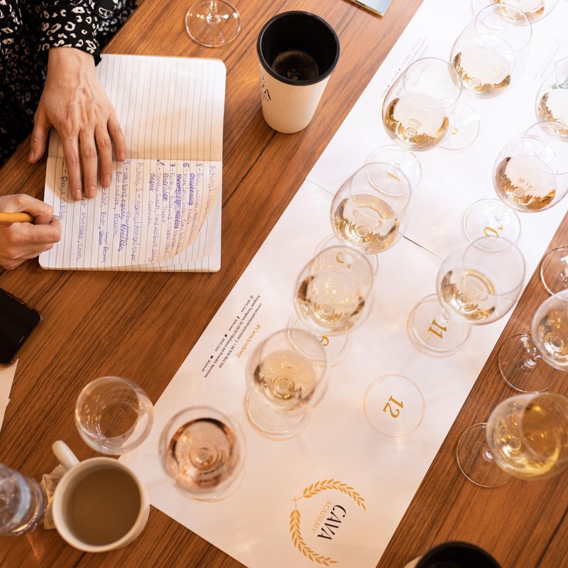 Cava Educator Certificate 8th call | D.O. Cava