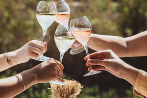 La Denominación de Origen Cava | D.O. Cava