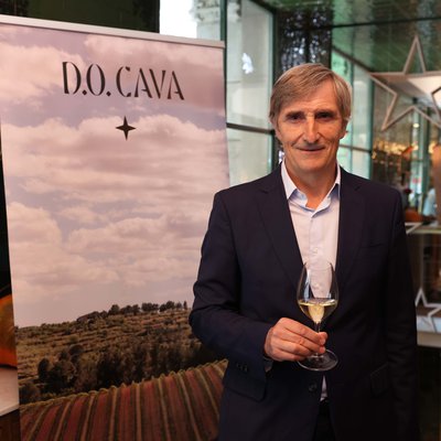 La Denominación de Origen Cava | D.O. Cava