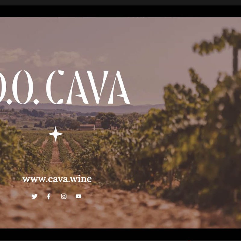 The Cava Designation of Origin and its most recent developments, by ...