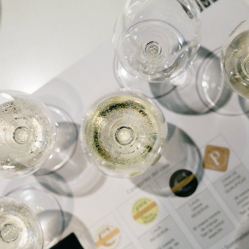 Cava Academy, Formación y Cursos | D.O. Cava