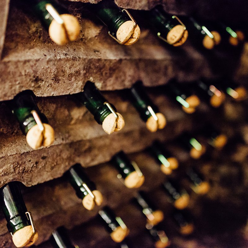 Types and varieties of Cava - Differences between the various types of ...