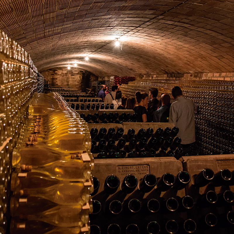 Penedes Rising: the most of cava country | Sparkling Wine | D.O. Cava